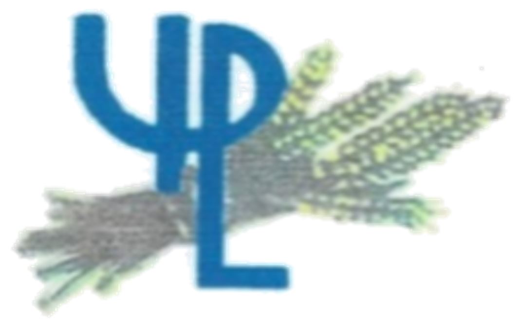 KO KO MYINT Int'l Co., Ltd. – KO KO MYINT Int'l Co., Ltd.